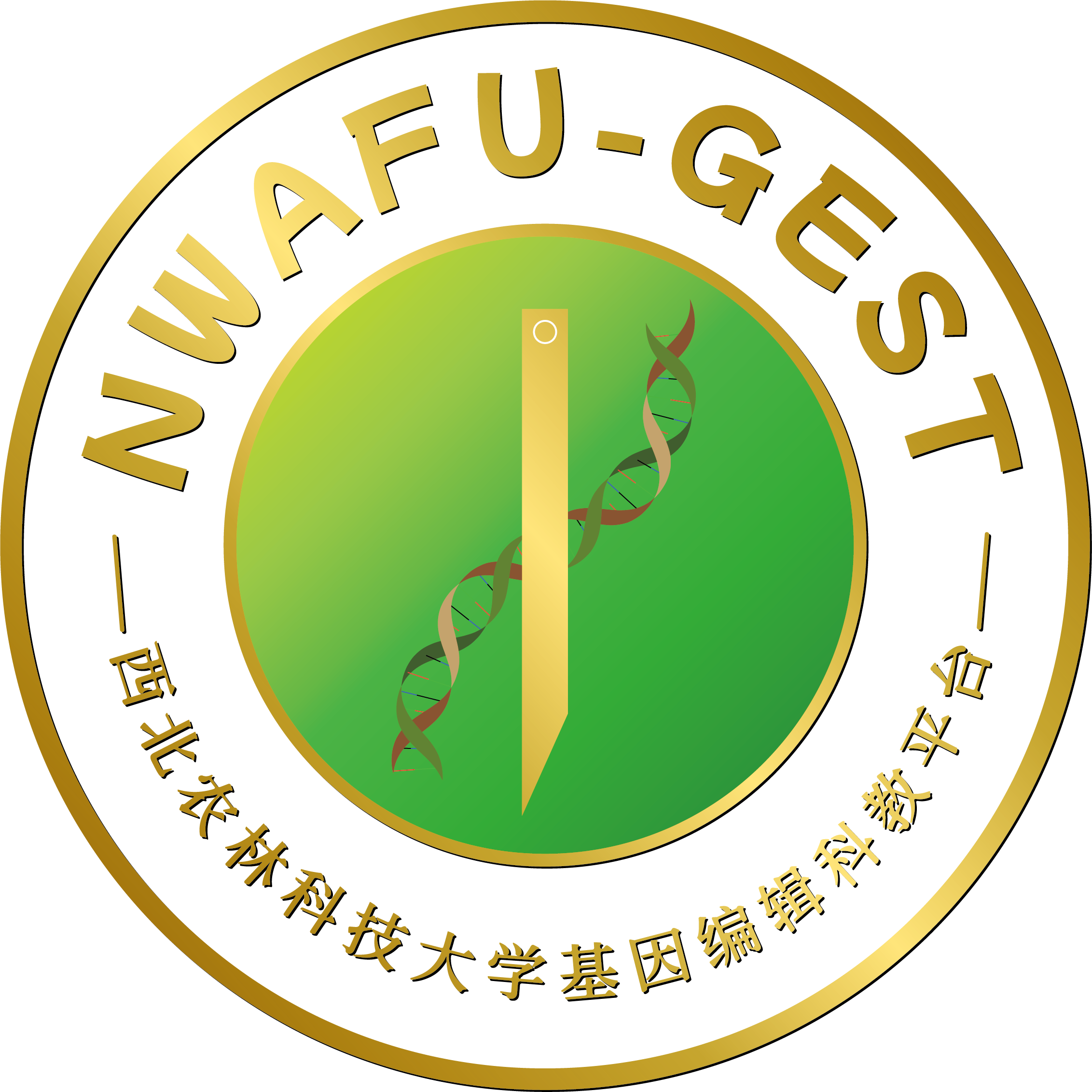 NWAFU-GEST